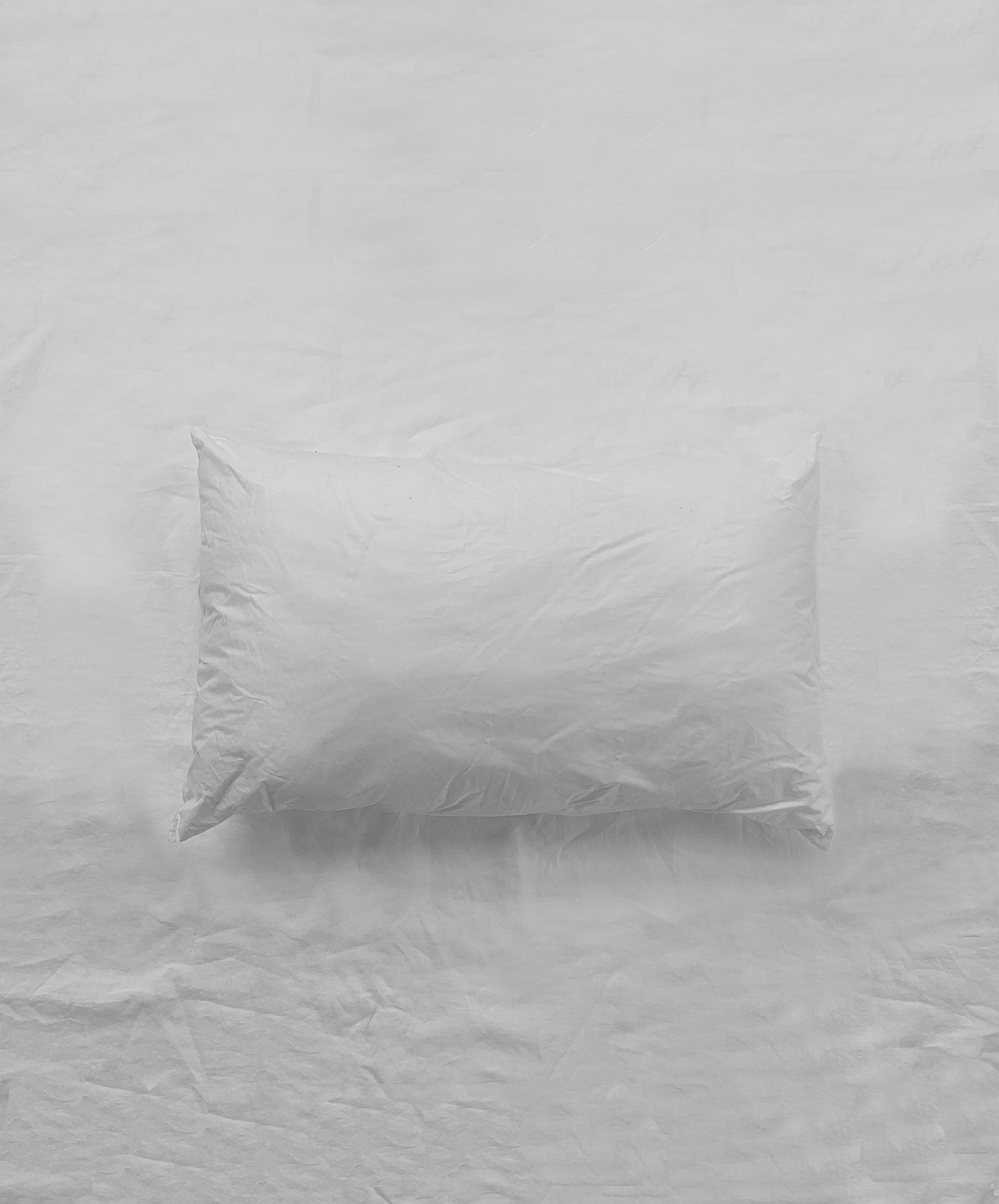 Cushion Insert Square | CULTIVER - USA